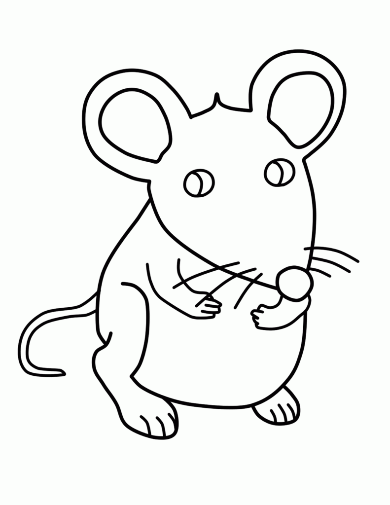 Rato Para Colorir Ler E Aprender Vrogue