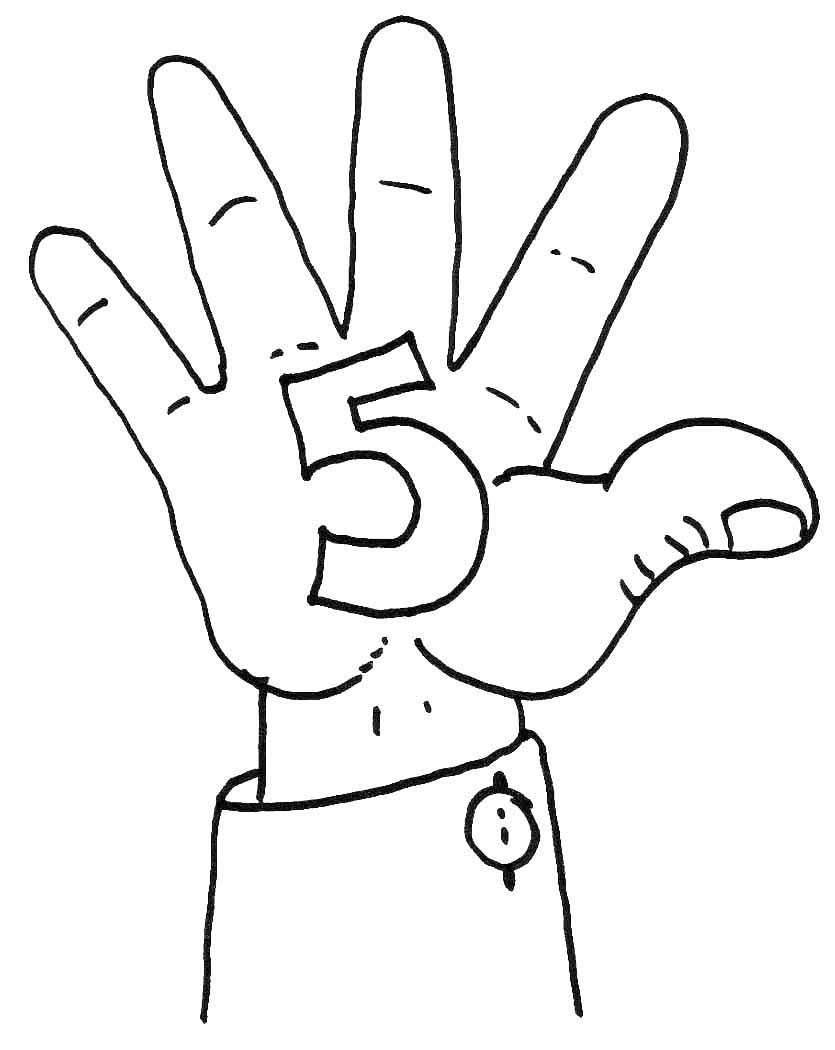 Dedo Colorir Dedos Kindergarten Actvities Pictogramas Organs Indice ...