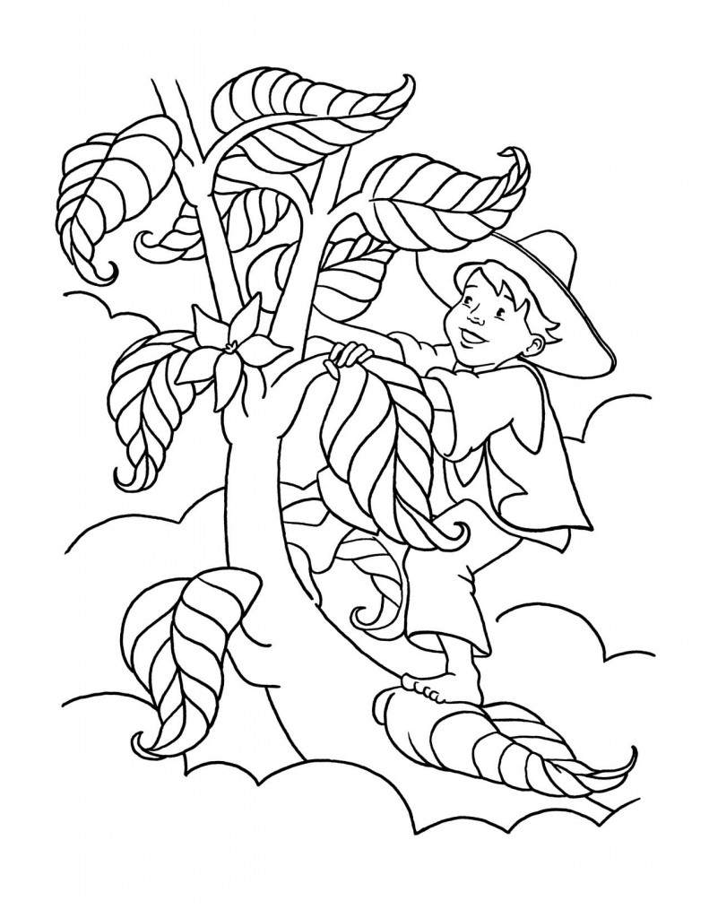 Plantas para colorir