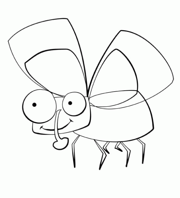 Desenhos De Mosca Para Colorir E Pintar